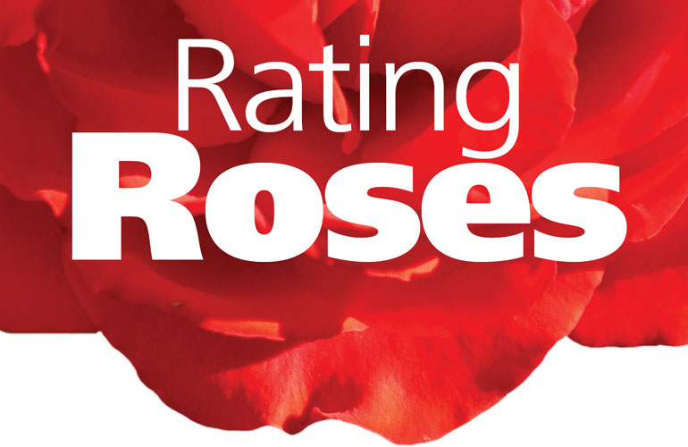 American Rose Trials for Sustainability Introduces its First Winning ...